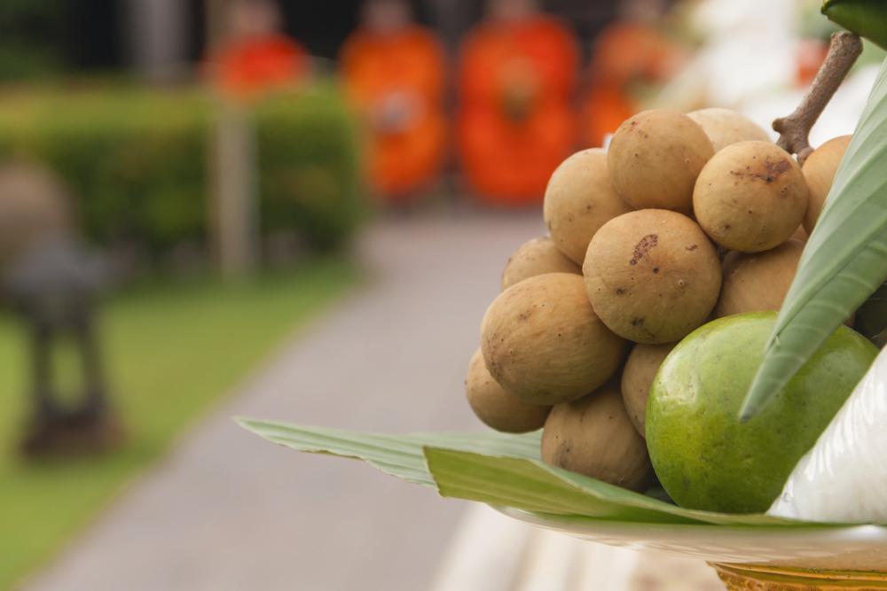 Exploring the Many Ways to Enjoy Monk Fruit – BHU